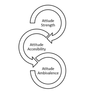 Attitudes in Psychology- Discover the 3 Components, 4 Meanings, and 5 ...