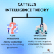 Fascinating Theory of Intelligence by Cattell - Fluid & Crystallized ...