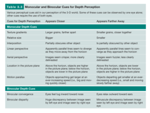 Depth Cues in Depth Perception- Wonderful Cues that Help Us See in 3D ...