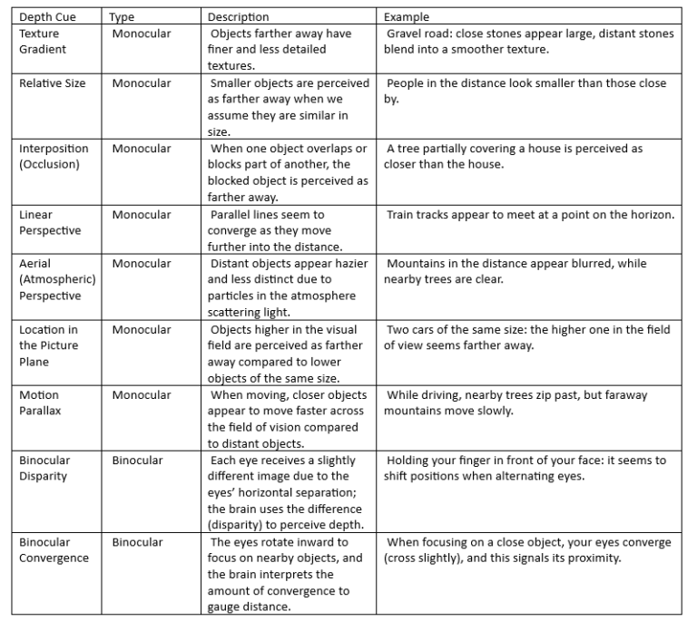 Depth Cues in Depth Perception- Wonderful Cues that Help Us See in 3D ...