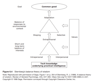 Wisdom and 2 Important Theories of Wisdom - Careershodh