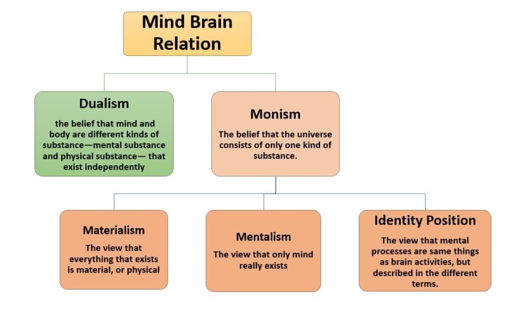 Understanding the Mind Brain Relation: Theories, History, and the ...