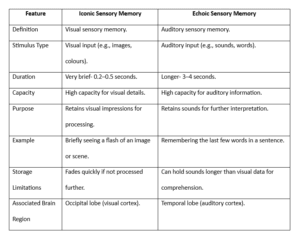 2 Important Types of Sensory Memory - Careershodh