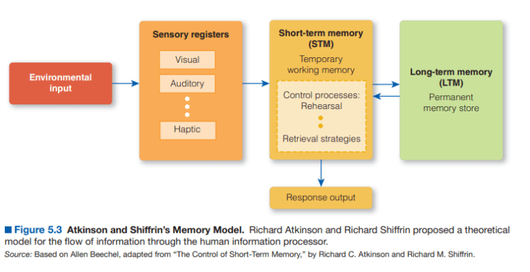 4 Important Models of Memory - Careershodh