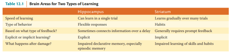 5 Important Brain Areas Related to Learning and Memory - Careershodh