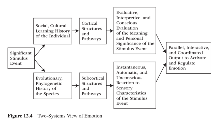 What are Emotions and Its 4 Important Components - Careershodh