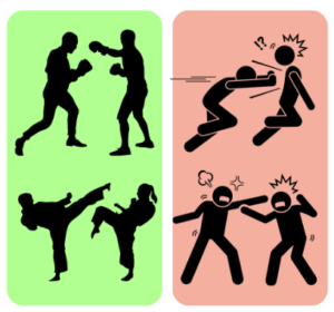 Aggression in Sports: 4 important theories of aggression - Careershodh